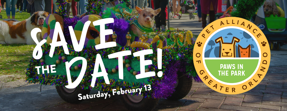 Paws In The Park - 2021 Paws in the Park